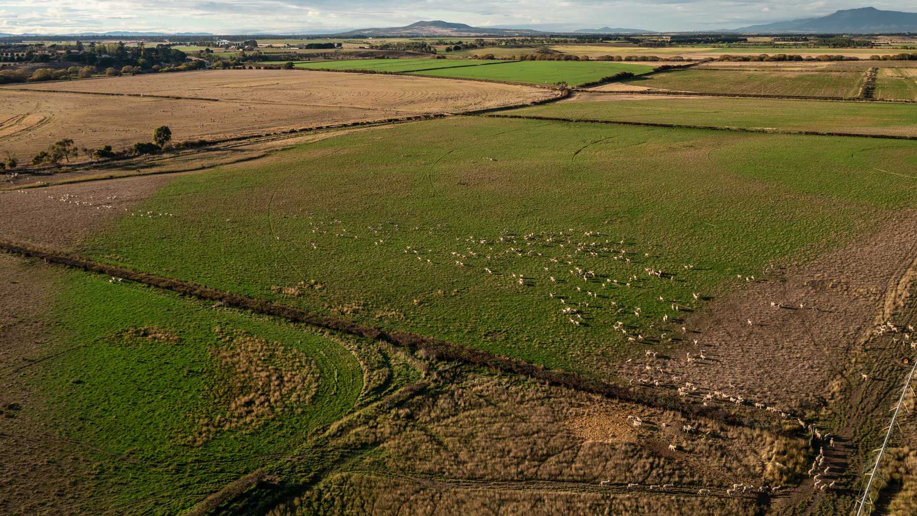 What’s in a name | Brickendon Estate, World Heritage Site, Longford ...