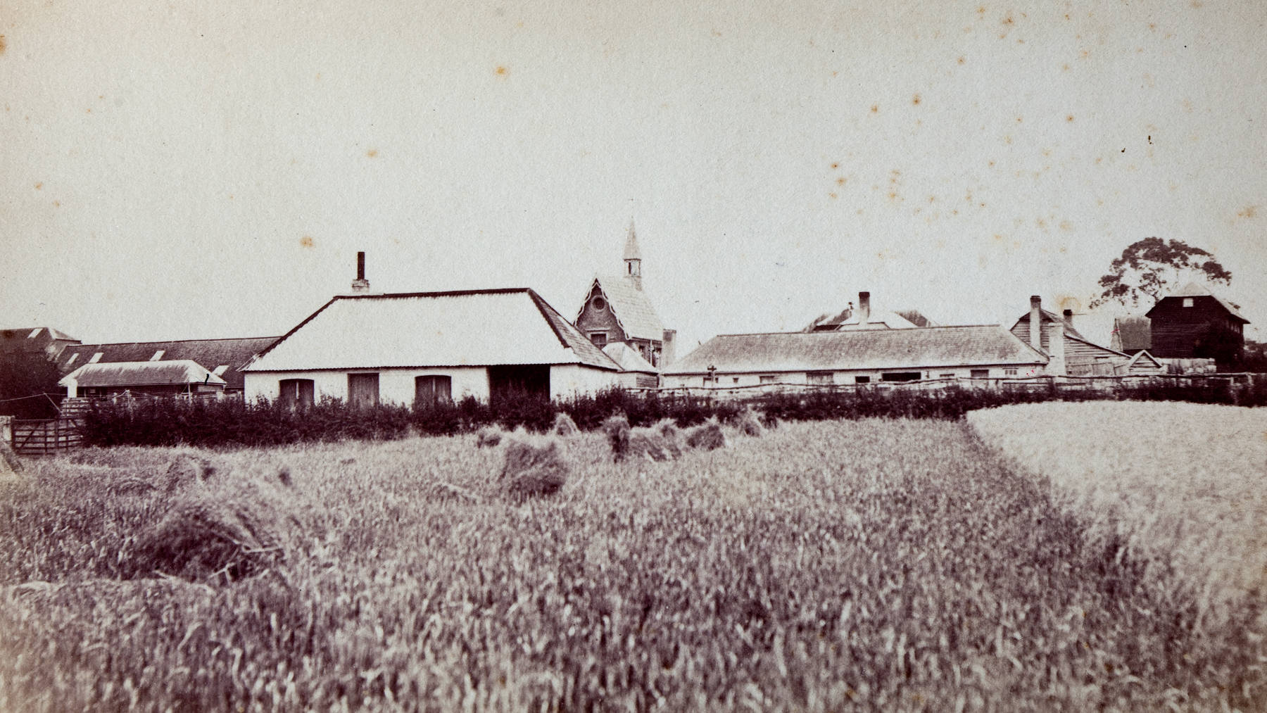 Brickendon Estate, World Heritage Site, Longford Tasmania | Colonial ...